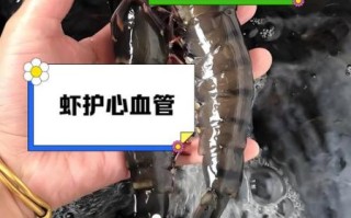 虾的营养价值_虾的功效与作用