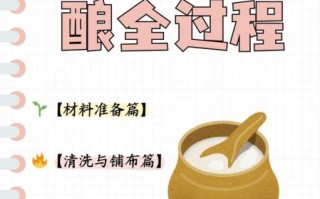 大米酿酒怎么做_家庭自酿详细步骤图解