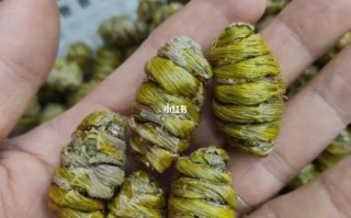 铁皮枫斗多少钱一斤_铁皮枫斗价格为什么这么贵