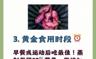 煮红薯和蒸红薯哪个更甜_哪个热量更低