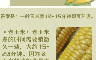 高压锅煮玉米需要多长时间_怎么判断熟没熟