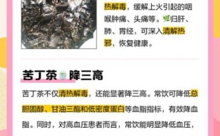 苦丁茶对男性的危害有哪些_男人长期喝苦丁茶有什么副作用