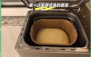 东菱面包机做面包配方_东菱面包机做面包失败原因