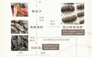 饭店海参多少钱一只_海参价格差异原因