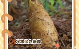 冬笋怎么挑选_冬笋怎么保存