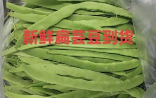 扁豆视频怎么下载_扁豆视频安全吗