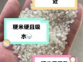 粳米和大米的区别_粳米和大米哪个更好