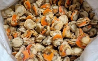 冷冻扇贝肉怎么做好吃_冷冻扇贝肉的家常做法