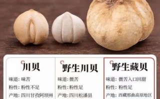 藏贝母多少钱一斤_藏贝母价格影响因素