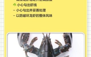 澳洲龙虾怎么清洗_澳洲龙虾清洗步骤