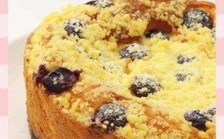 芝士蛋糕怎么做_芝士蛋糕需要烤多久