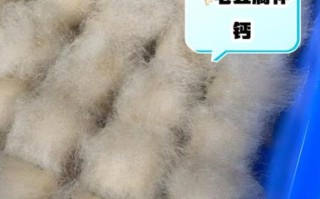 自制毛豆腐的做法窍门_毛豆腐长白毛怎么处理