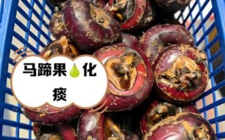 马蹄果的功效与作用_马蹄果怎么吃最好