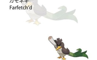 大葱鸭的大葱怎么获得_大葱鸭大葱获取途径