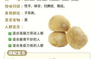 孕妇能吃猴头菇吗_猴头菇对孕妇的好处