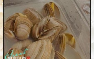 黄蚬子怎么清洗_黄蚬子怎么保存