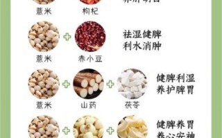 米仁和薏米仁的区别_哪个更适合祛湿