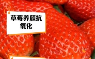 草莓有哪些营养成分_草莓的营养价值高吗
