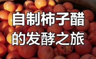 柿子醋怎么做_家庭自制柿子醋最简单的方法