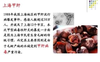 毛蚶甲肝事件_如何预防