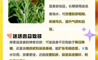 迷迭香泡水喝的功效_迷迭香泡水能天天喝吗