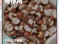 芡实的功效与作用及食用方法_芡实禁忌有哪些