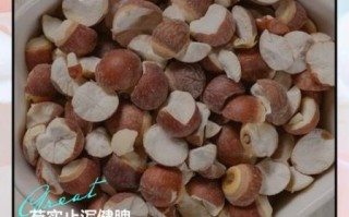 芡实的功效与作用及食用方法_芡实禁忌有哪些