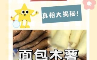 面包木薯有毒吗_生吃会不会中毒