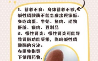 碱性磷酸酶偏低说明什么_偏低原因有哪些