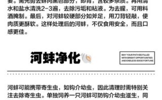 野生河蚌怎么杀_河蚌内脏清理步骤