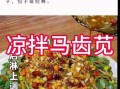 马齿苋凉拌怎么做好吃_马齿苋凉拌需要焯水吗