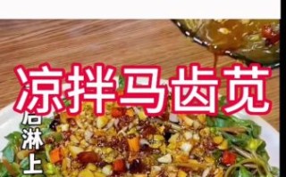 马齿苋凉拌怎么做好吃_马齿苋凉拌需要焯水吗