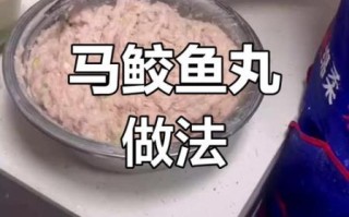 自制鱼丸怎么做_家常鱼丸子做法