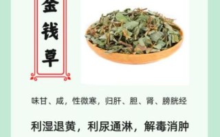 金钱草的功效与作用_金钱草的禁忌有哪些