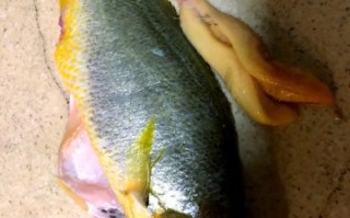 怎么炖黄花鱼不腥_黄花鱼炖多久才入味
