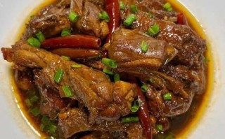 鸭子怎么做好吃_家常鸭子做法大全