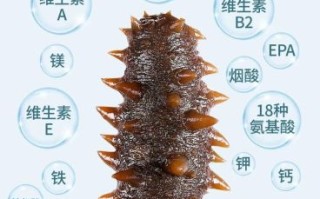 海参的营养价值真的很高吗_海参的功效与作用有哪些