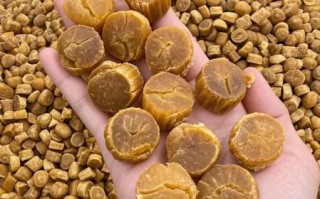 干瑶柱泡发多久_干瑶柱怎么泡发才松软