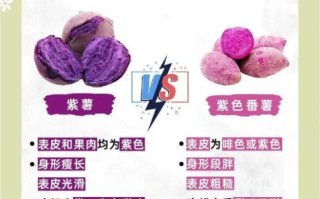 吃紫薯有什么好处_紫薯的功效与作用