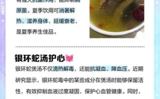 蛇汤的功效与作用_蛇汤适合什么人喝