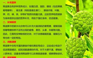 释迦果的功效与作用_释迦果怎么吃最好