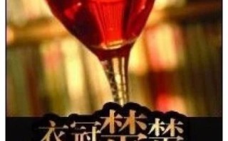 衣冠楚楚(高干)小说讲了什么_衣冠楚楚(高干)结局是什么