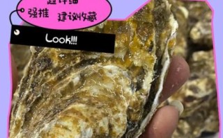 牡蛎怎么清洗内脏_图解步骤