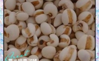 薏仁的功效与作用_薏仁怎么吃祛湿最好