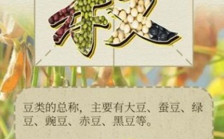 漉菽怎么读_漉菽是什么意思