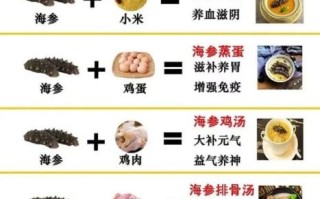 辽参的功效与作用_辽参怎么吃最营养