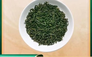 峨眉毛峰属于什么茶_峨眉毛峰怎么泡才香