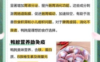 鸭肫的营养价值_鸭肫的功效与作用 鸭肫的营养价值_鸭肫的功效与作用