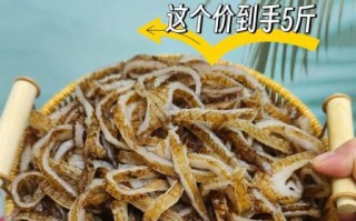 黑毛肚和牛肚的区别_哪个更好吃