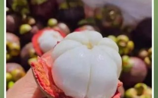 孕妇可以吃山竹吗_孕期吃山竹的注意事项